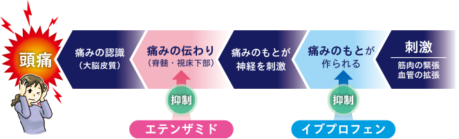 ナロンエースで頭痛をダブルブロック。ナロンエース製品ページ｜ナロンシリーズブランドサイト｜大正製薬