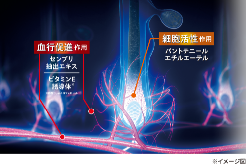 HOGSPA（ホグスパ）：発毛促進・抜け毛を防ぐ育毛トニック｜大正製薬